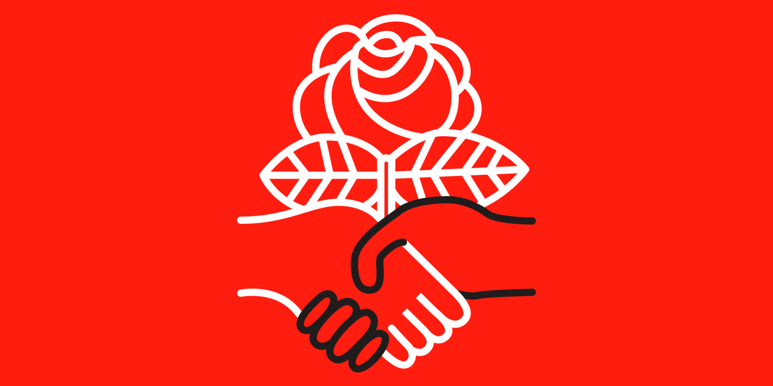 What is a Political Party – The Voter's Portal